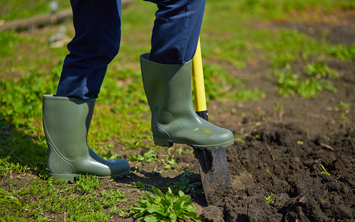 How to start a vegetable garden | HireRush Blog