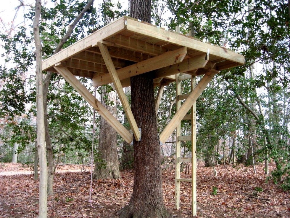 How to Build a Tree House. 5 Tips for Building Kids TreeHouse