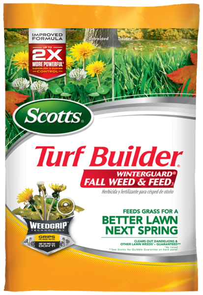 Fall lawn care steps and tips | HireRush Blog