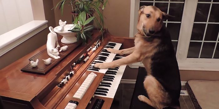 How to tune a piano in 5 steps | HireRush Blog