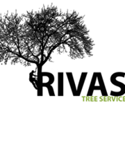 Rivas tree service - 1 Review & 2 Photos - (214) 436-2222 - Grand ...