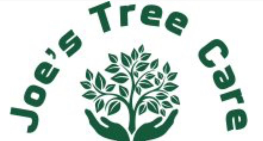 Joe’s Tree Care - 6 Photos - (512) 215-1551 - Austin, TX - HireRush